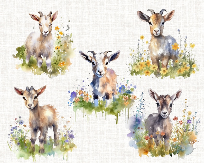 Baby Goat Clipart Watercolor Floral Goats in the Meadow - Etsy