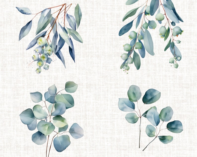Eucalyptus Clipart Bundle Greenery Clipsrt Foliage PNG - Etsy