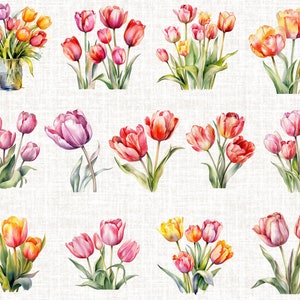 Tulip Clipart, Watercolor Tulips PNG, Floral PNG, Summer Flowers ...