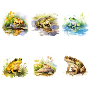Watercolor Frogs Clipart Bundle Woodland Animals Graphics Forest Animal ...