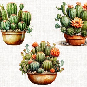Potted Cacti Clipart Bundle Watercolor Cactus Clipart Cactus - Etsy