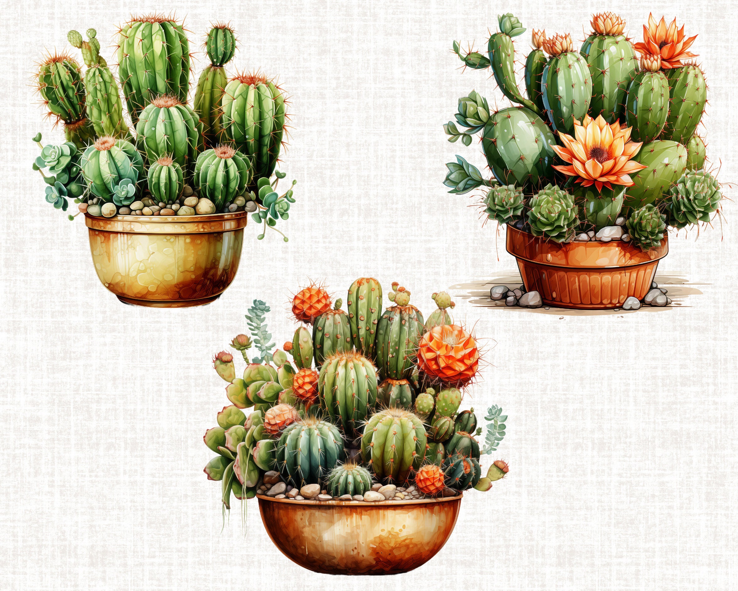 Potted Cacti Clipart Bundle Watercolor Cactus Clipart Cactus - Etsy