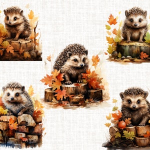 Autumn Hedgehog Clipart Bundle Happy Hedgehog Clipart Cute - Etsy