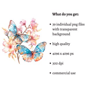 Spring Butterflies Clipart Bundle Watercolor Butterfly Flowers Graphics ...