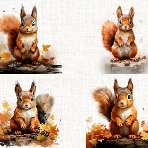 Autumn Squirrel Clipart, Cute Squirrel Images, Watercolor Squirrel PNG ...