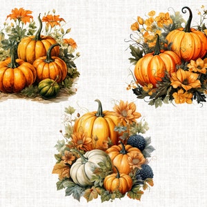 Autumn Pumpkin Clipart Illustrations, Watercolor Pumpkin PNG Bundle ...