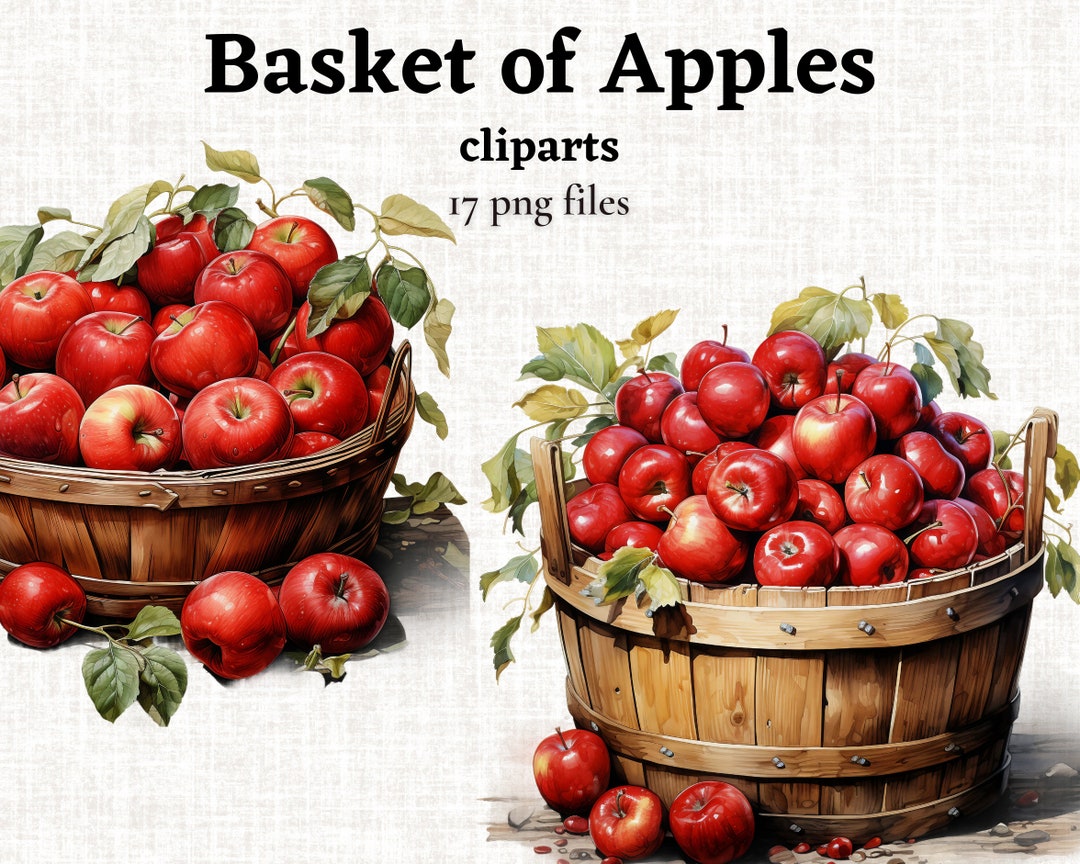 Apple Basket Clipart Bundle, Basket With Apples PNG, Autumn Harvest ...