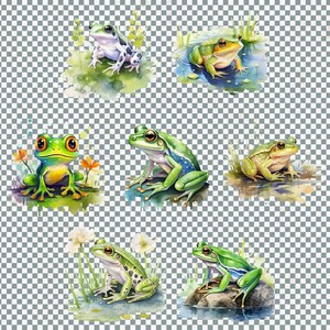 Watercolor Frogs Clipart Bundle Woodland Animals Graphics Forest Animal ...