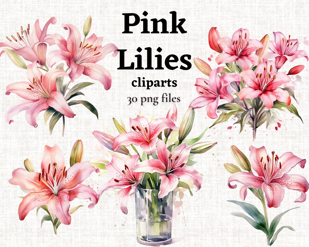 Pink Lily Clipart, Watercolor Tiger Lily Clipart Bundle, Pink Lilies ...