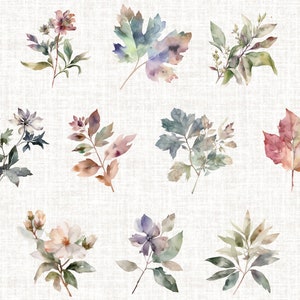 Greenery Watercolor Clipart, Botanical Clipart Bundle, Greenery Bundle ...