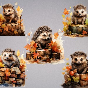 Autumn Hedgehog Clipart Bundle Happy Hedgehog Clipart Cute - Etsy
