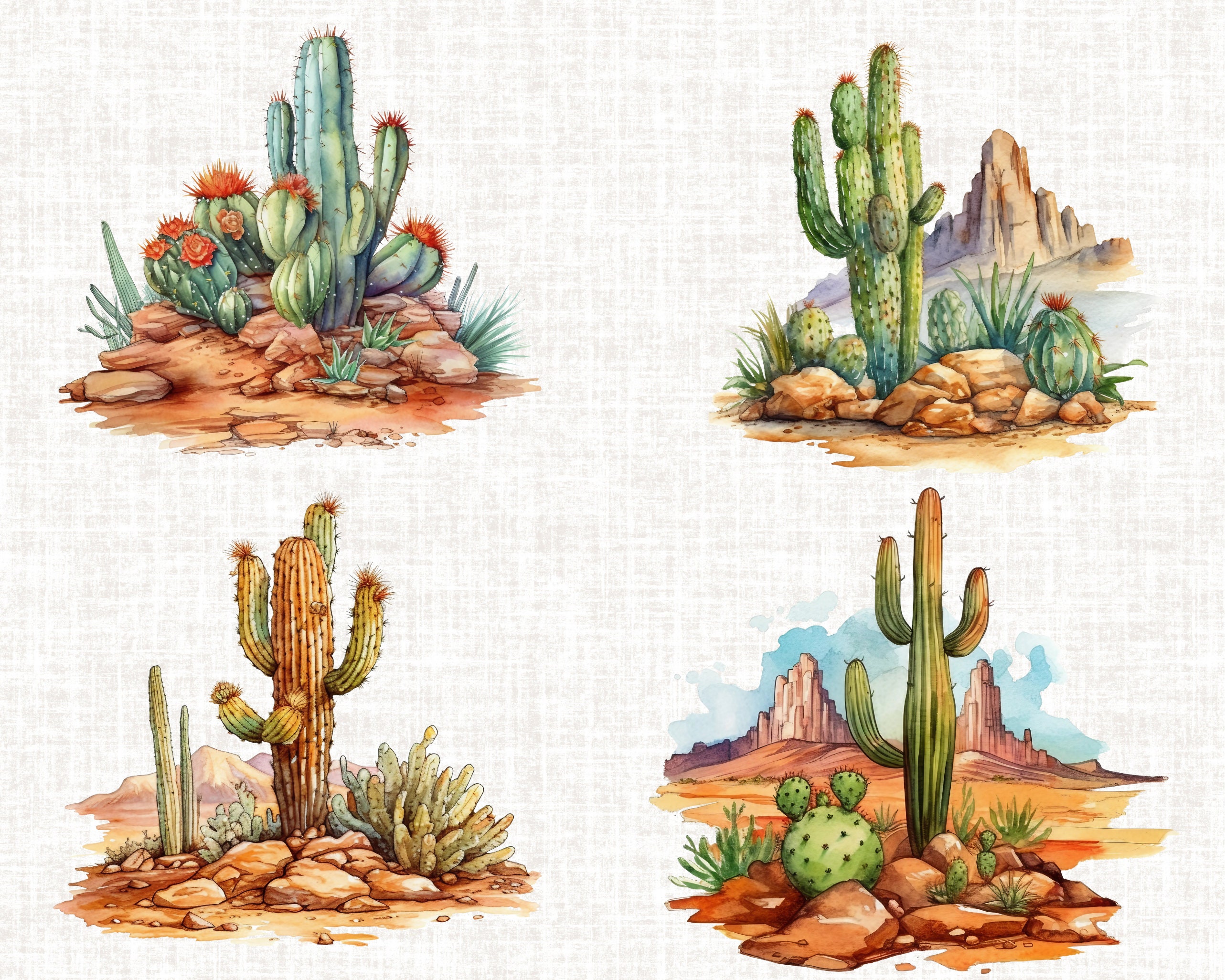 Cactus Clipart Bundle Watercolor Cactus PNG Cactus in the - Etsy