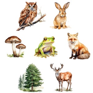 Woodland Animals Clipart Bundle Watercolor Forest Animal Clip Art ...
