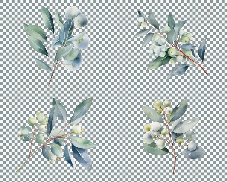 Eucalyptus Clipart Bundle Greenery Clipsrt Foliage PNG - Etsy