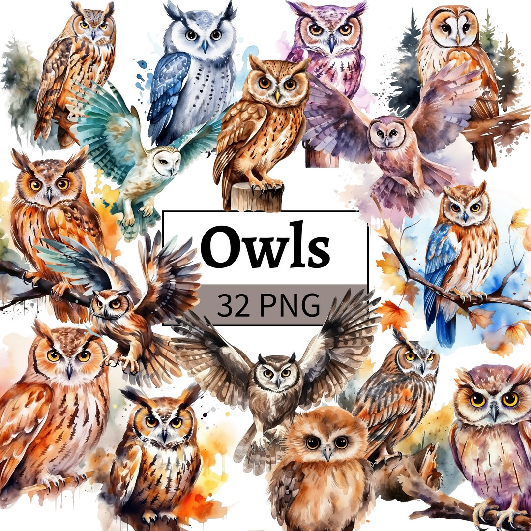 Watercolor Owl Clipart Bundle Woodland Animals Graphics Forest Animal ...