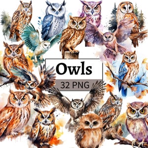 Watercolor Owl Clipart Bundle Woodland Animals Graphics Forest Animal ...