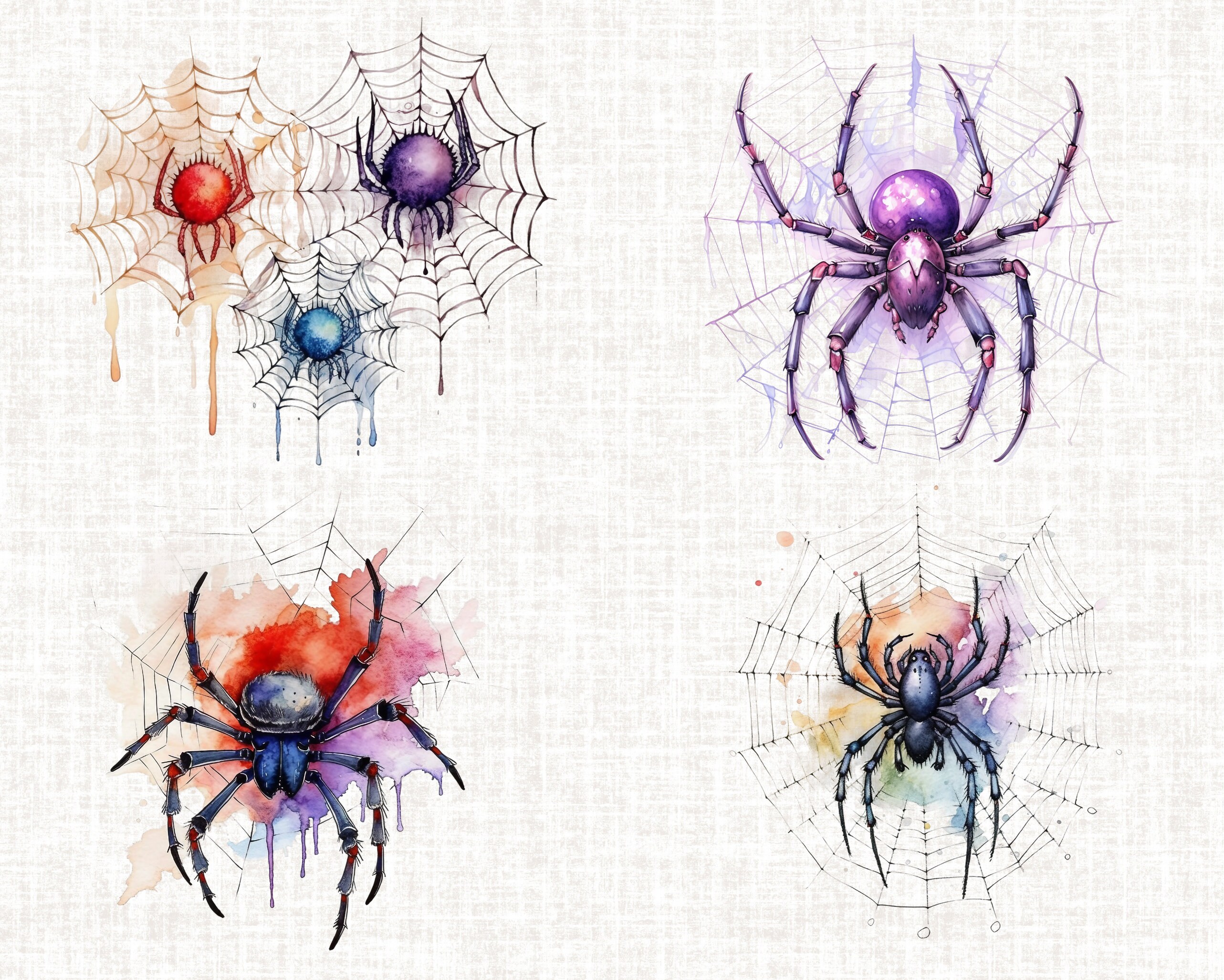 Spider Clipart Watercolor Spiders Bundle Cobweb Clipart - Etsy