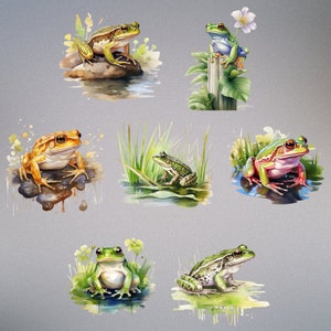 Watercolor Frogs Clipart Bundle Woodland Animals Graphics Forest Animal ...