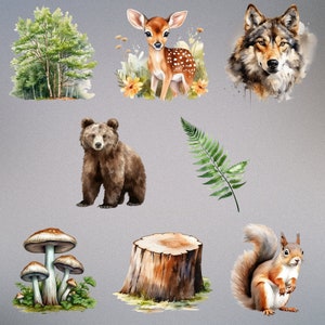 Woodland Animals Clipart Bundle Watercolor Forest Animal Clip Art ...