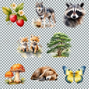 Woodland Animals Clipart Bundle Watercolor Forest Animal Clip Art ...