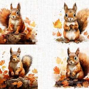 Autumn Squirrel Clipart, Cute Squirrel Images, Watercolor Squirrel PNG ...