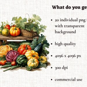 Autumn Harvest Clipart, Fall Vegetables Clipart, Autumn Veggies ...
