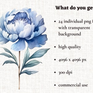 Dusty Blue Peonies Clipart, Dusty Blue Flowers PNG, Watercolor Blue ...