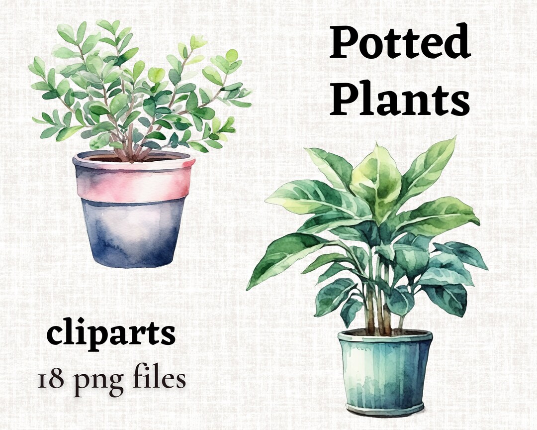 Potted Plant Clipart Bundle, Watercolor House Plants Clipart ...