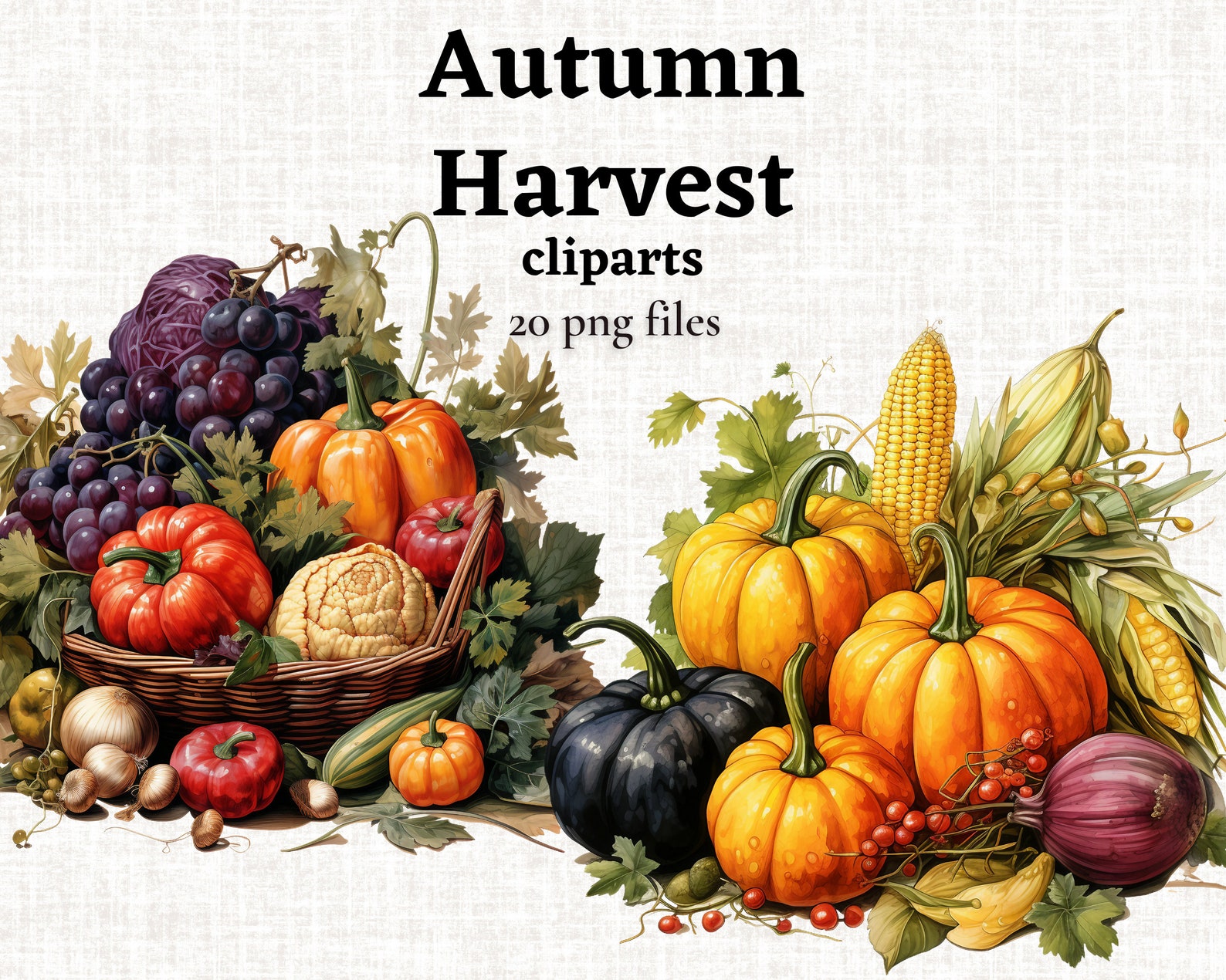 Autumn Harvest Clipart Fall Vegetables Clipart Autumn - Etsy