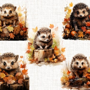 Autumn Hedgehog Clipart Bundle Happy Hedgehog Clipart Cute - Etsy
