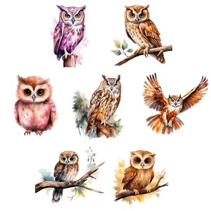 Watercolor Owl Clipart Bundle Woodland Animals Graphics Forest Animal ...