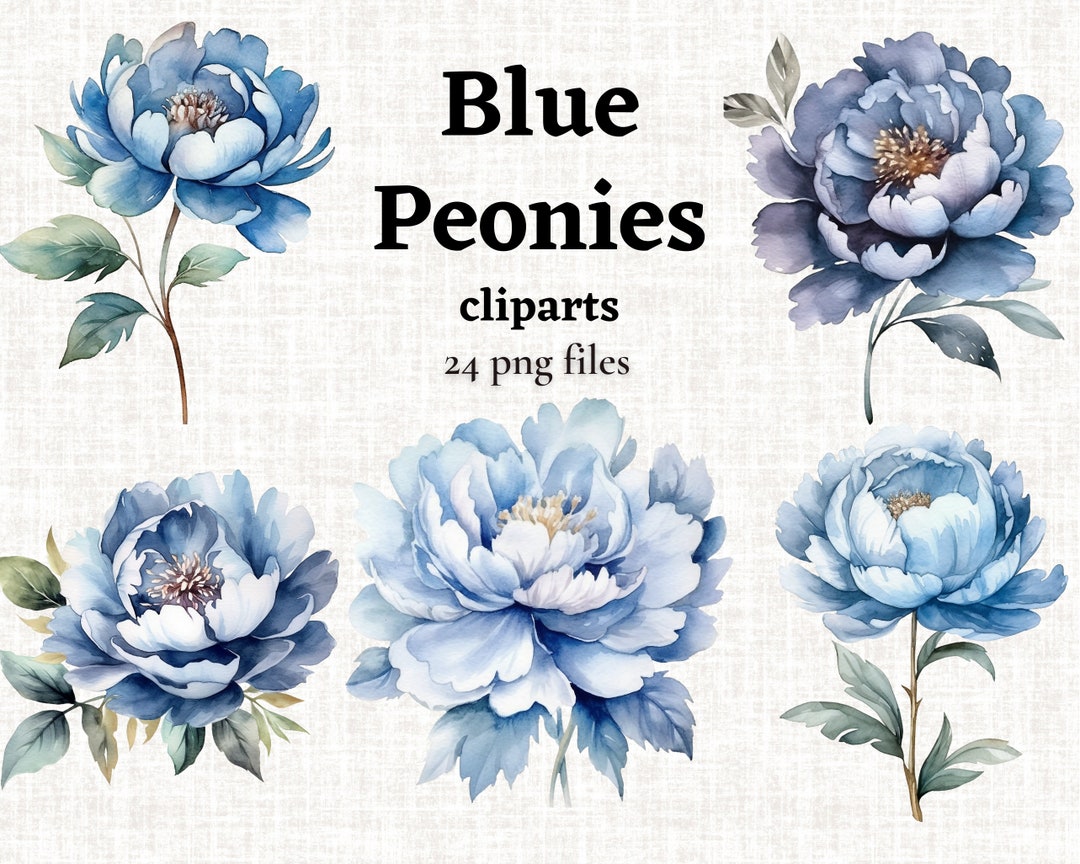 Dusty Blue Peonies Clipart, Dusty Blue Flowers PNG, Watercolor Blue ...