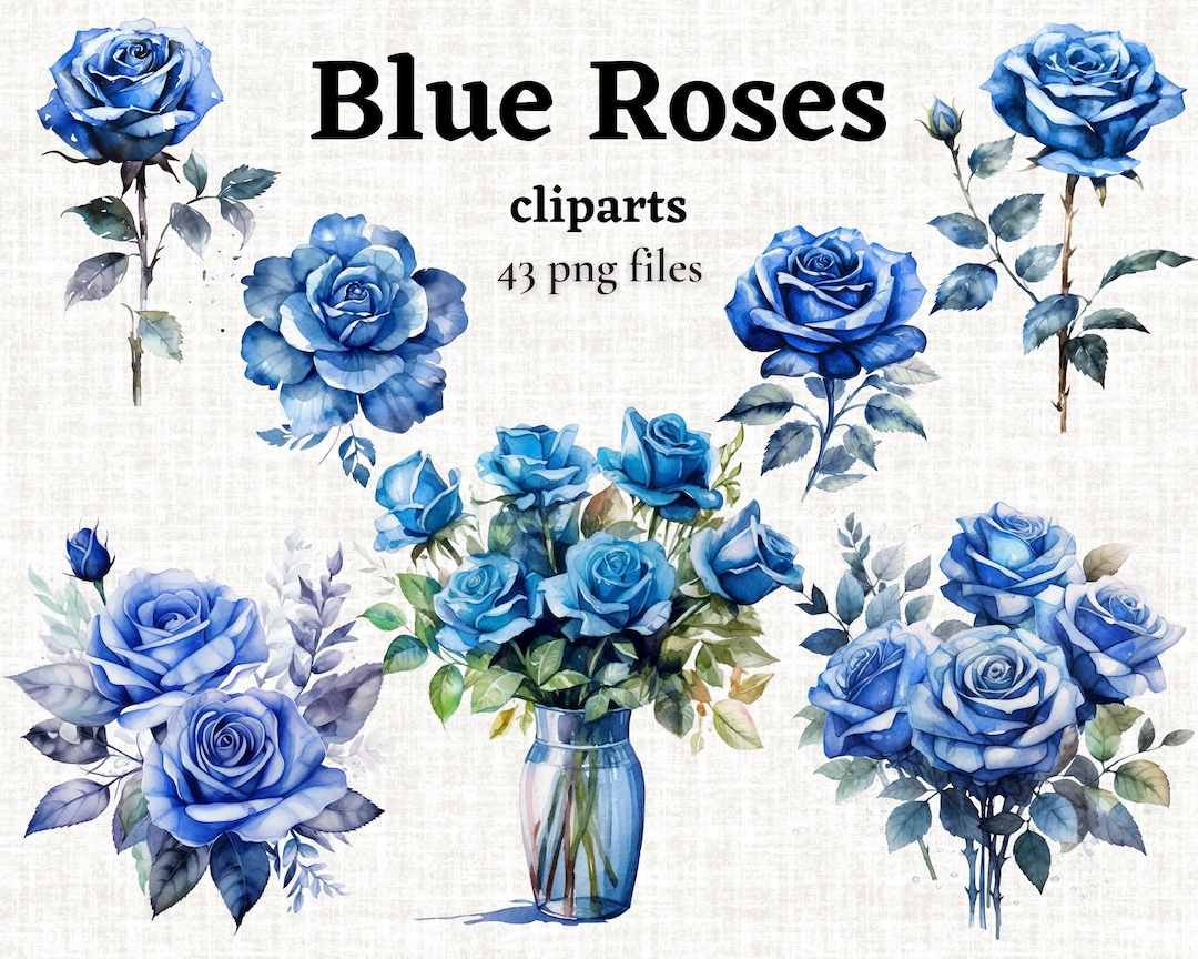 Blue Roses Clipart, Watercolor Blue Roses PNG, Blue Flowers PNG ...
