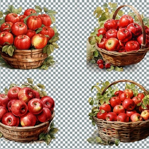 Apple Basket Clipart Bundle, Basket With Apples PNG, Autumn Harvest ...