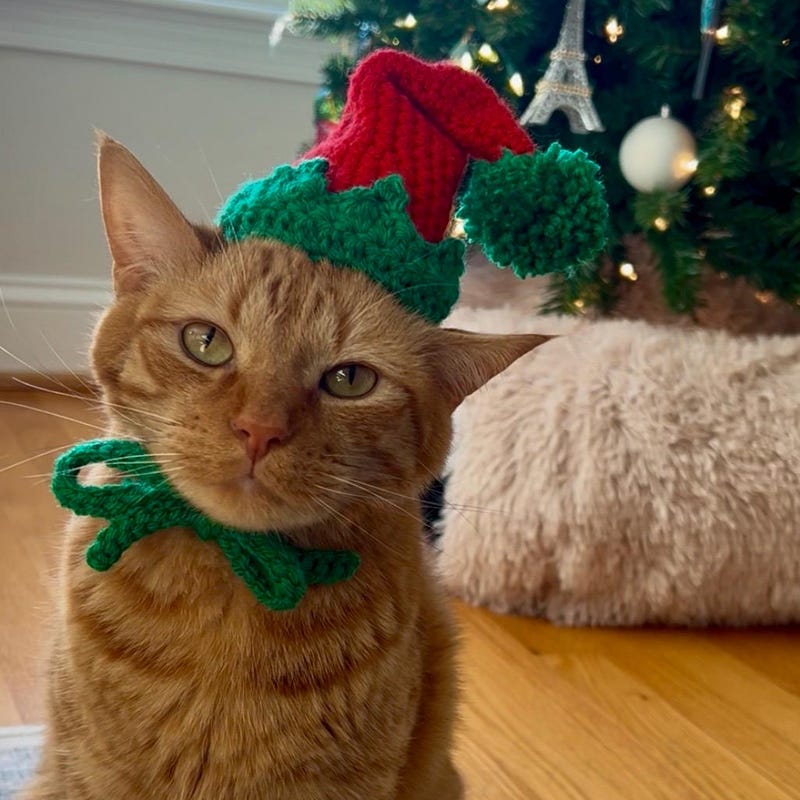 Cat Christmas Costume - Etsy
