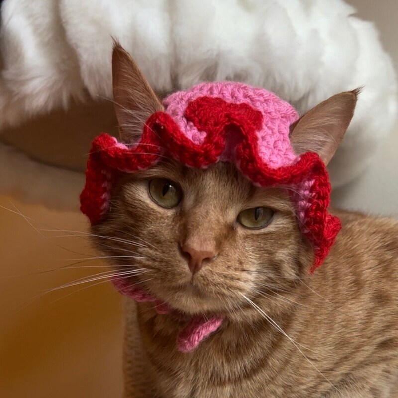 Valentines Day Hat - Etsy