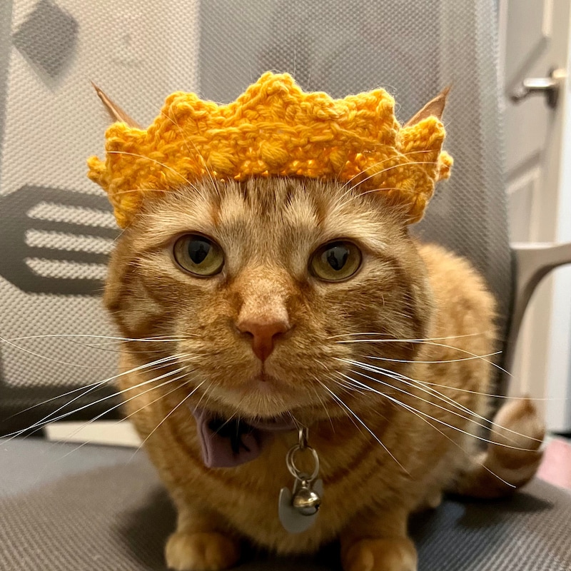 Cat Crown - Etsy