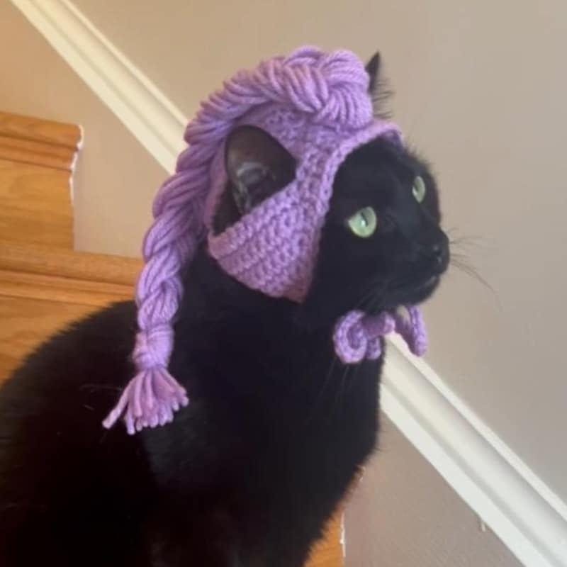 Kpop Demon Hunter Cat Costume - Etsy