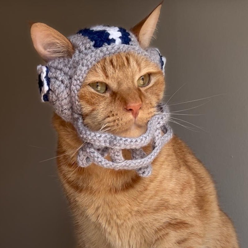Crochet Hat and for Cat - Etsy