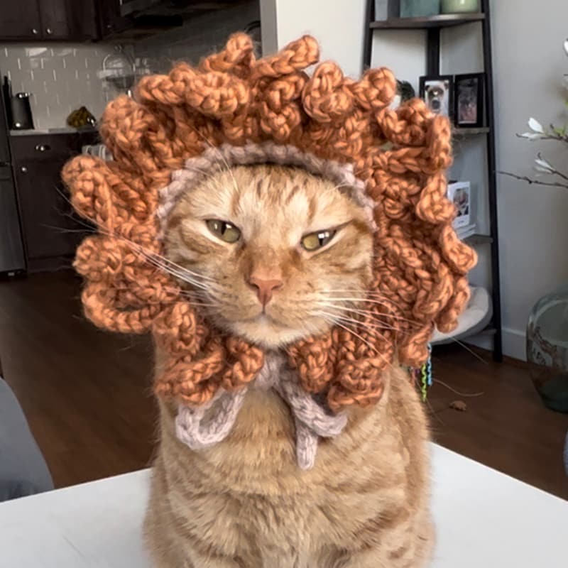 Cat Lion Mane Costume - Etsy