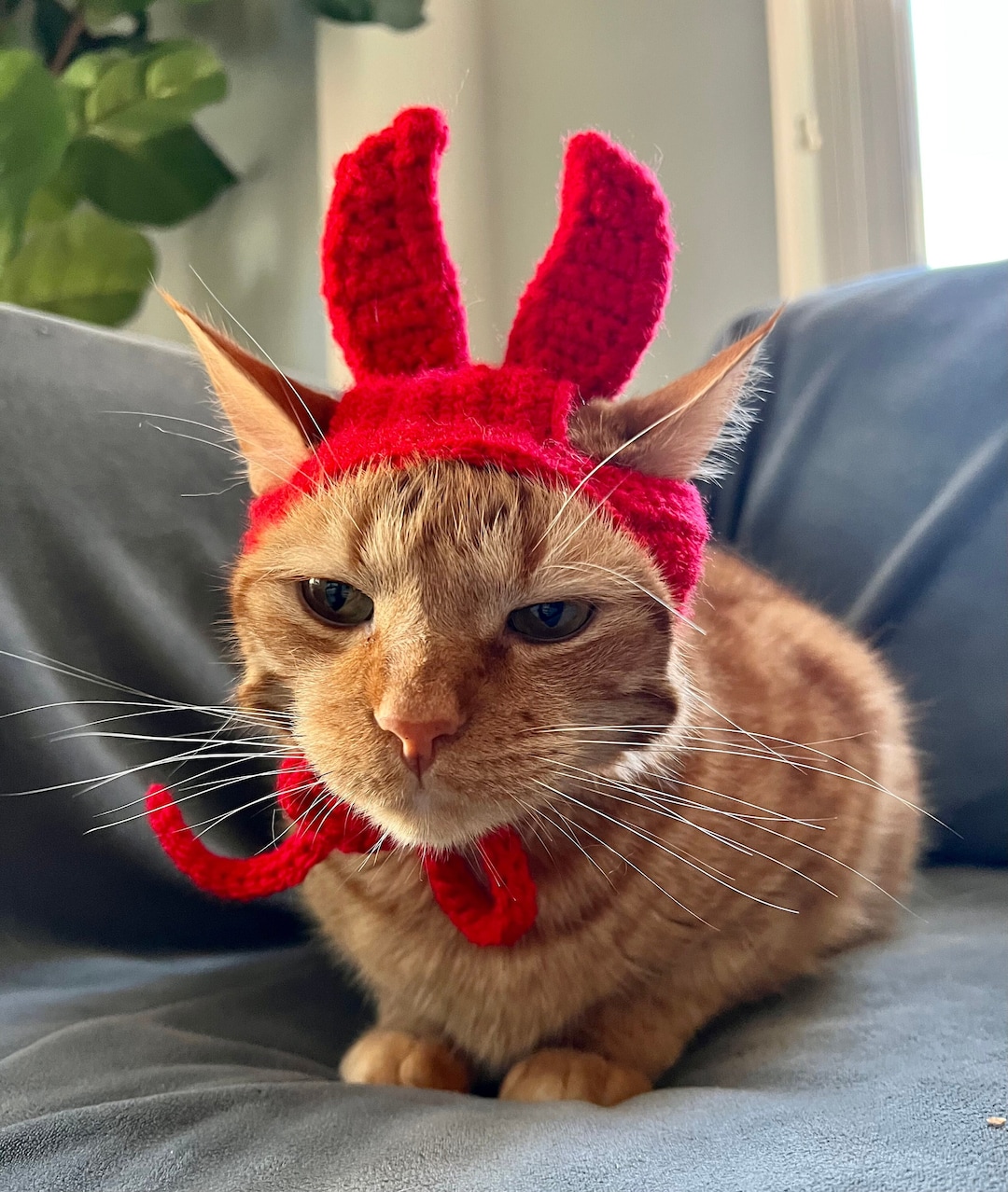 Devil Horns Cat Hat, Devil Costume for Cats, Devil Horns for Pets - Etsy