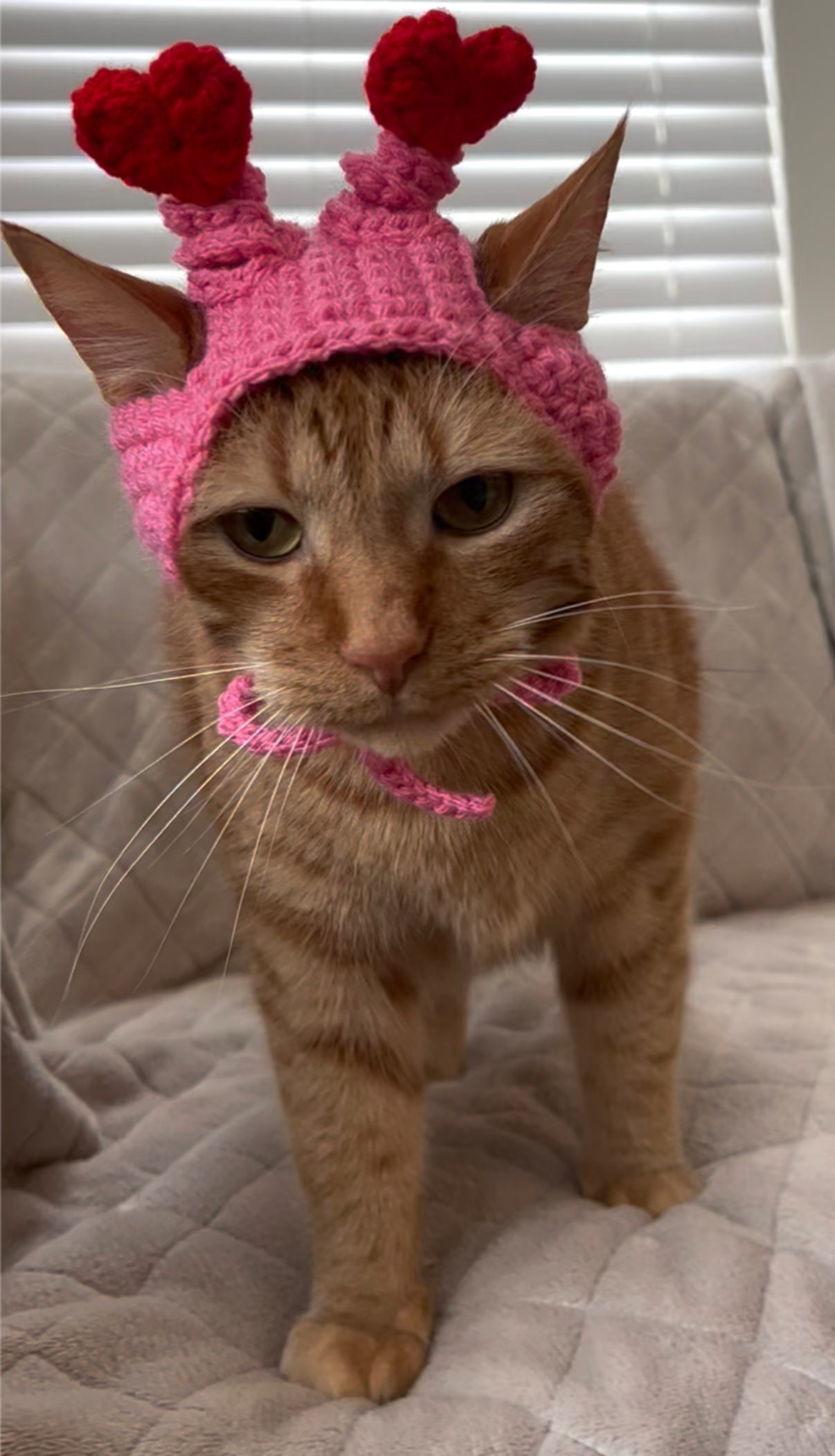 Heart Antenna Cat Hat Crochet Pattern (PDF Digital Download) - Etsy