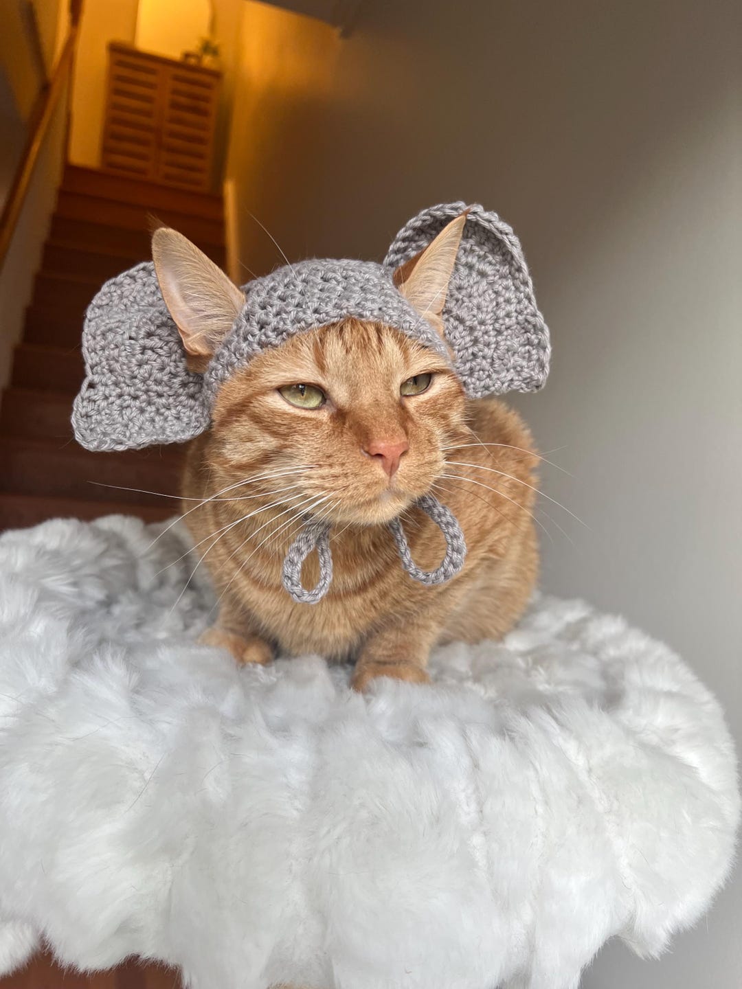 Elephant Ears for Cats, Elephant Costume for Cats, Dumbo the Elephant ...