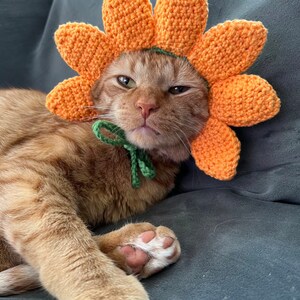 Crochet Sunflower Cat Hat Pattern: Beginner-friendly (PDF Digital ...