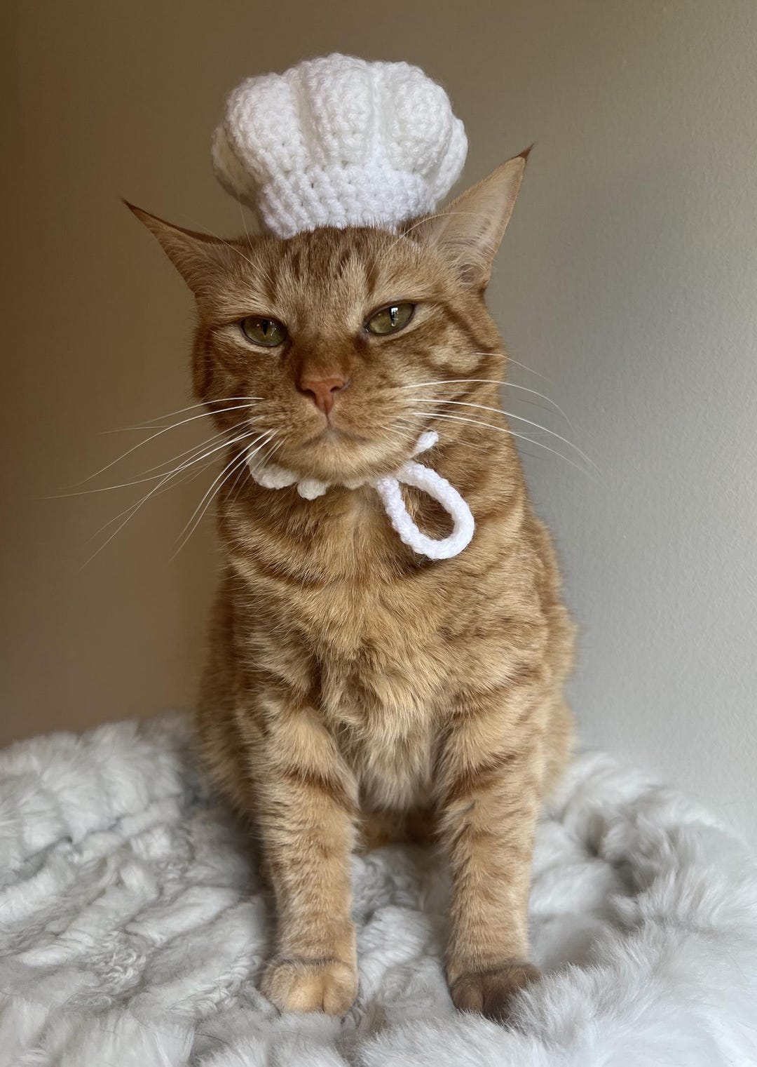 Crochet Chef Cat Hat Costume: Hand-crocheted Pet Toque - Etsy