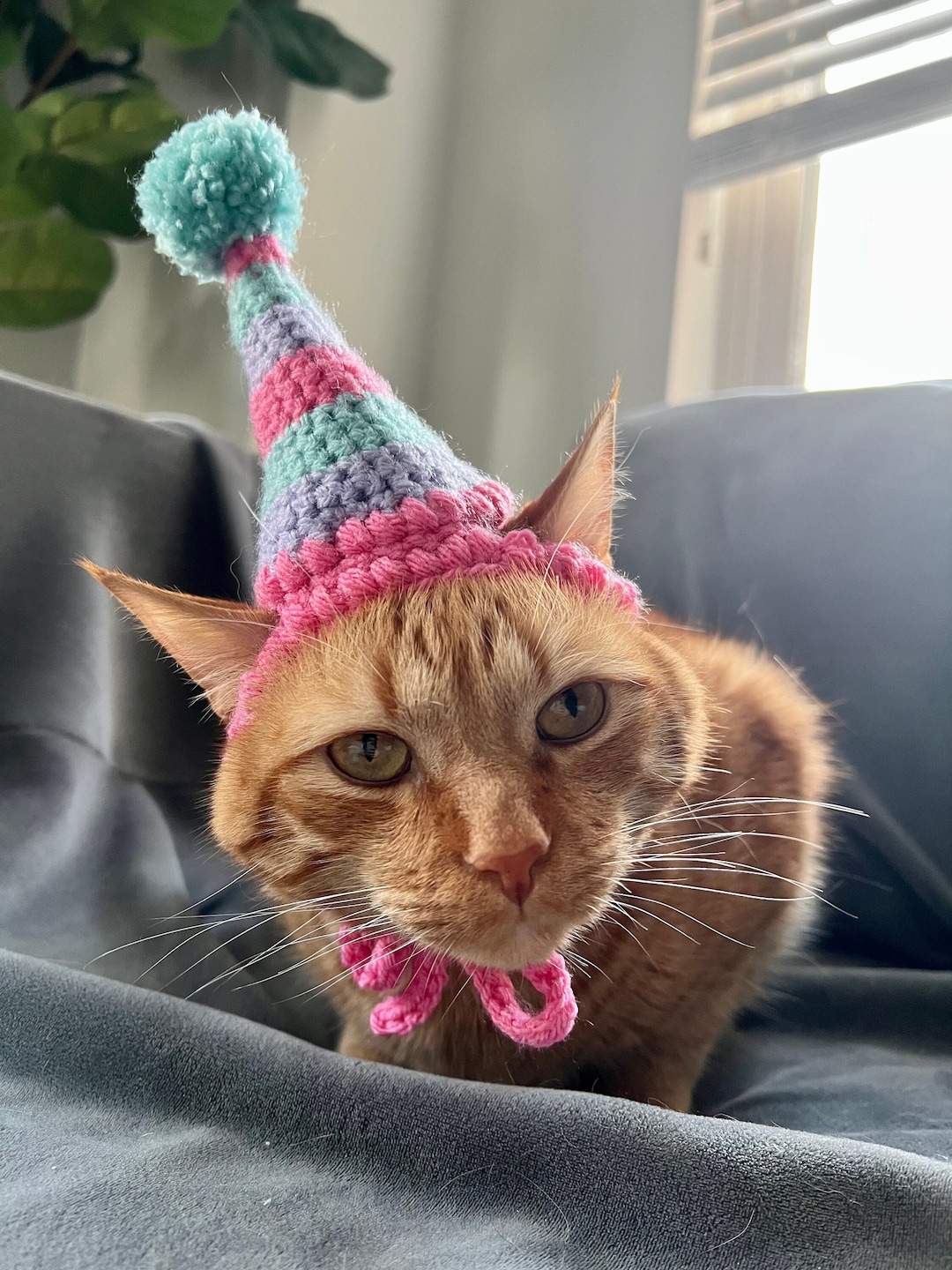 Birthday Hat for Cats, Cat Birthday Hat, Birthday Hat for Pets, Party Hat for Cats, Crochet Cat ...