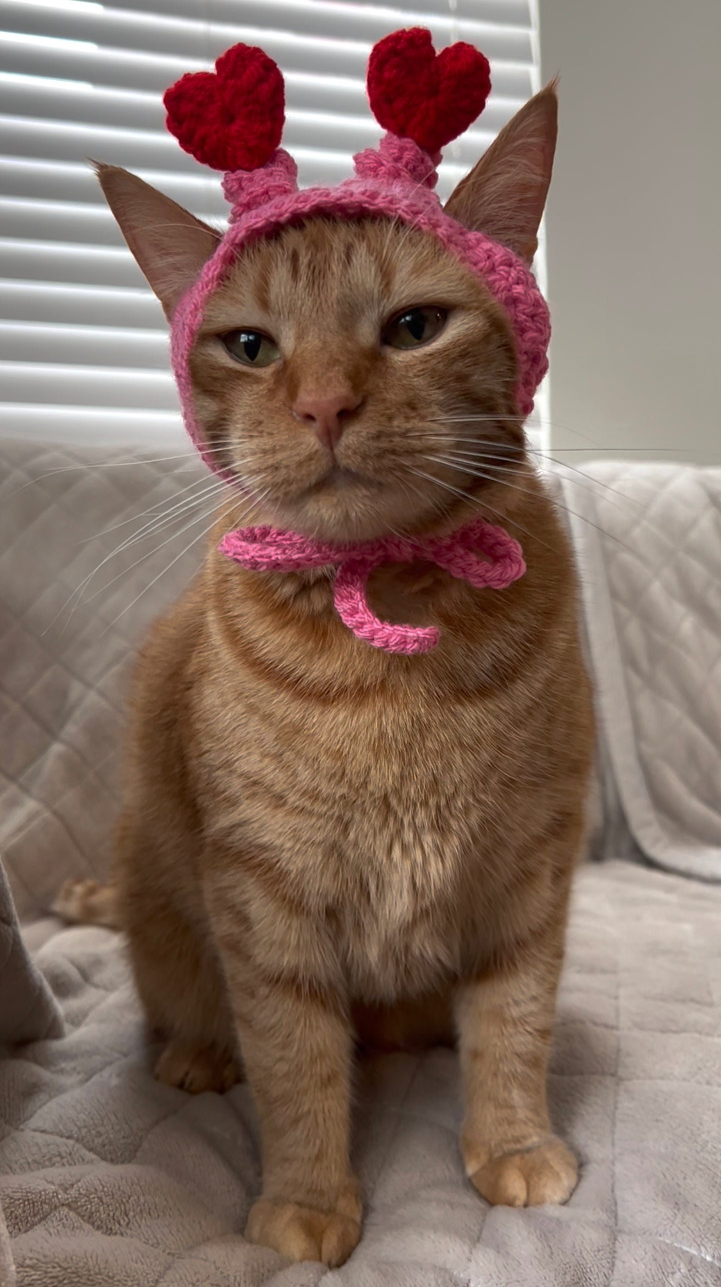 Heart Antenna Cat Hat Crochet Pattern (PDF Digital Download) - Etsy