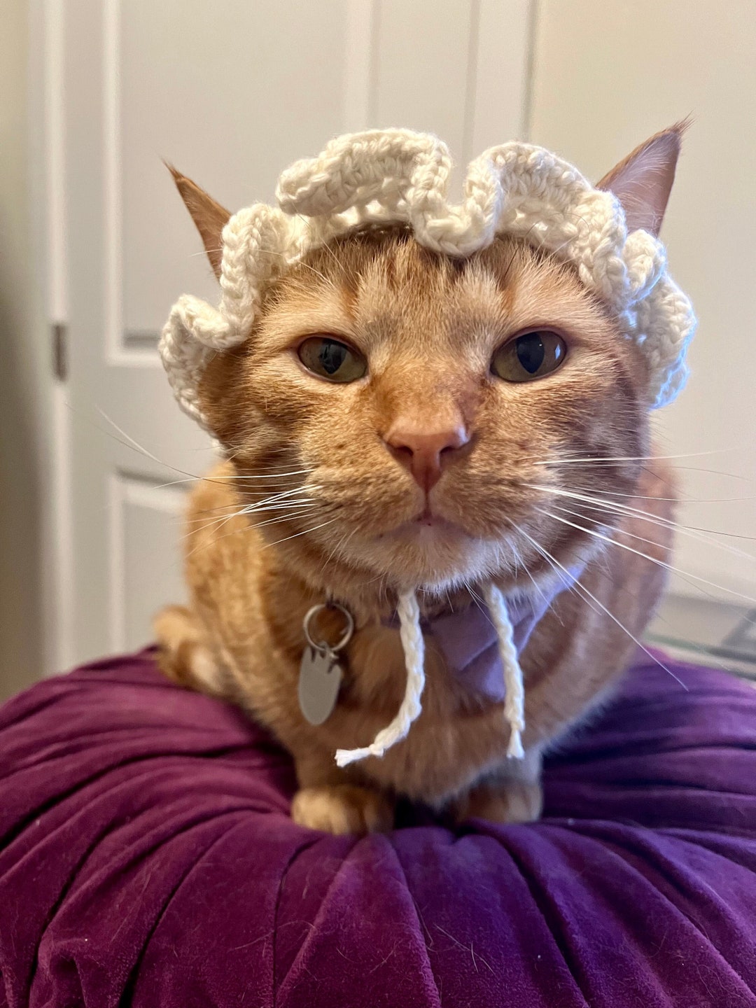 Ruffle Hat for Cats, Flower Hat for Cats, Spring Time Hat for Cats ...