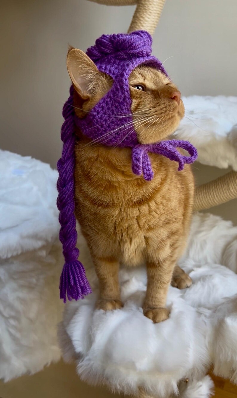 Crochet Braided Cat Hat: Costume for Pets - Etsy
