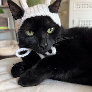 Angel Halo Cat Hat, Angel Cat Costume, Angel Hat for Pets - Etsy